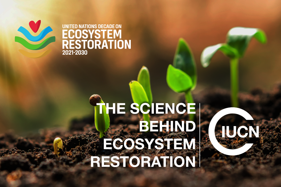 World Environment Day and the launch of the Decade of Ecosystem ...
